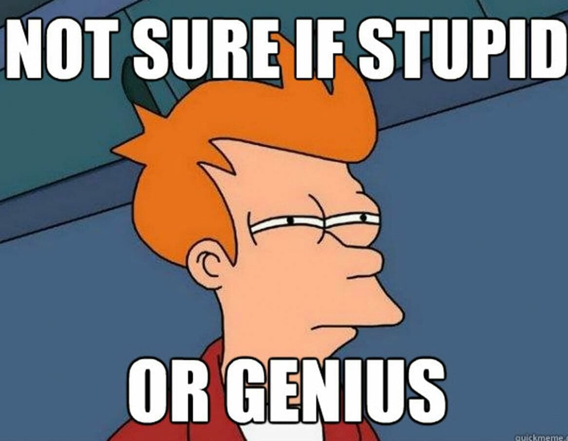 stupid-or-genius-feature - Rona Fischman